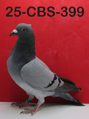 Janssen – tagged "Janssen" – CBS Pigeon