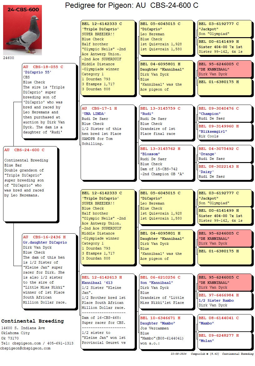 Kannibaal – tagged "Kannibaal" – CBS Pigeon